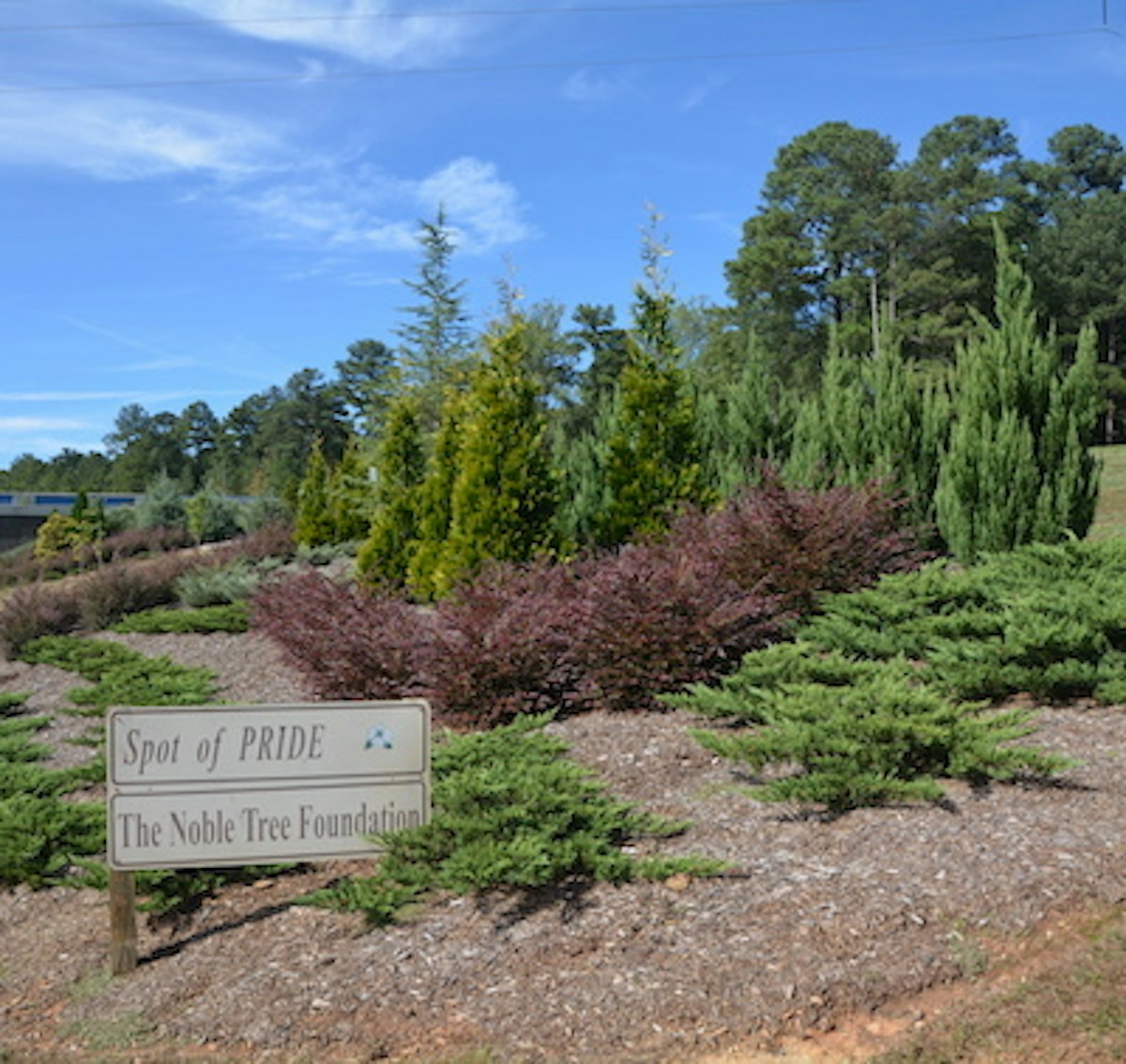 Noble Tree Foundation Projects