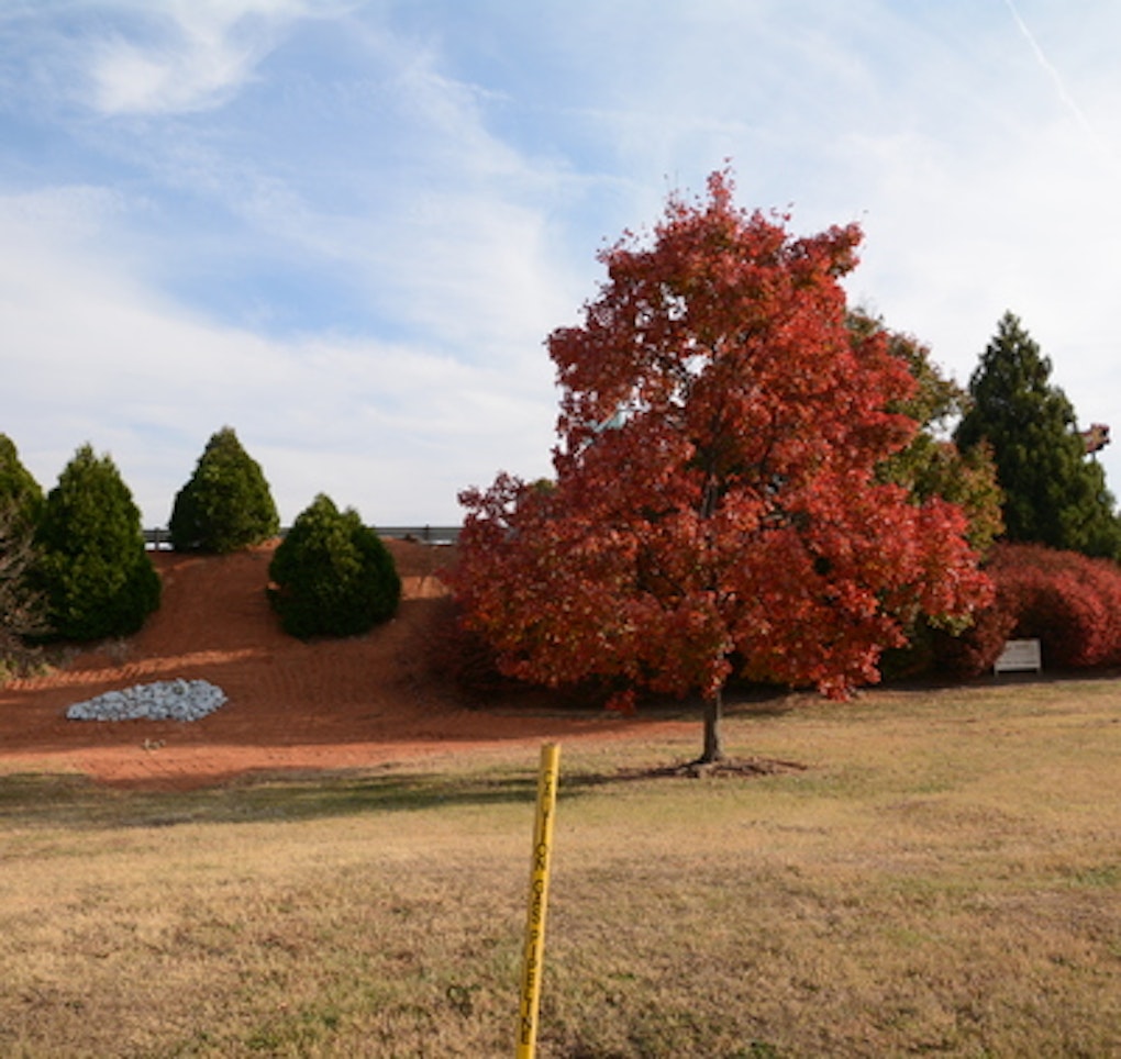 Noble Tree Foundation Projects